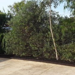 Barrier Edging by Enviro Blocks | Australia's Sustainable Garden Borders